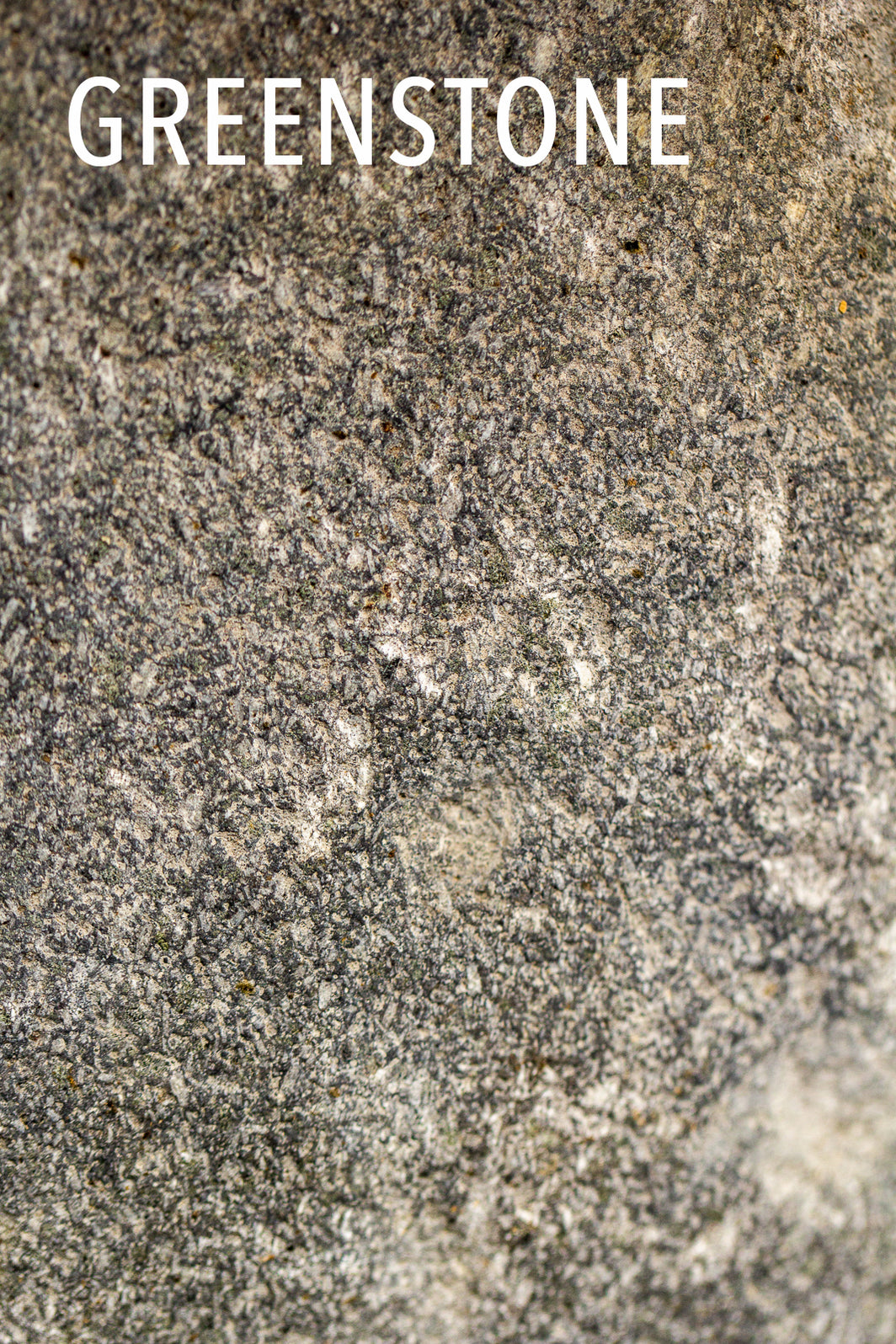 Tree of Life — Indo Pacific Emporium