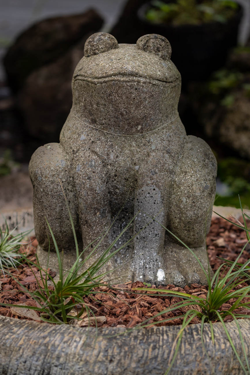 Sitting Frog Garden Statue — Indo Pacific Emporium